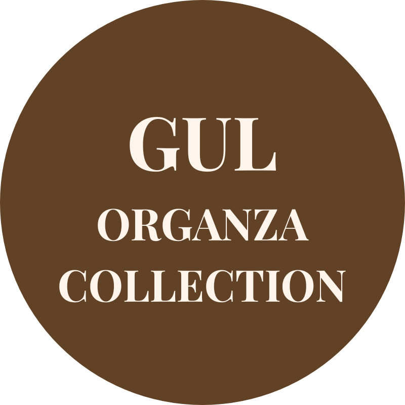 Gul – Organza Collection – R S CHIKANKARI